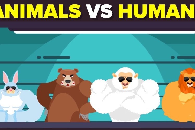 HUMANS VERSUS ANIMALS - Complete Therapy Solutions